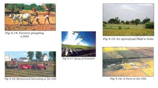 CBSE_ class 8 geography ch 4. agriculture | PDF
