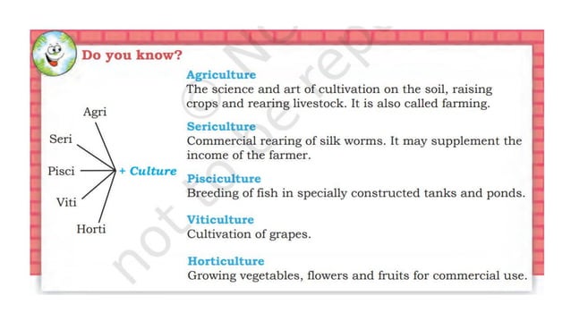 CBSE_ class 8 geography ch 4. agriculture | PDF