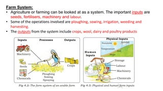 CBSE_ class 8 geography ch 4. agriculture | PDF