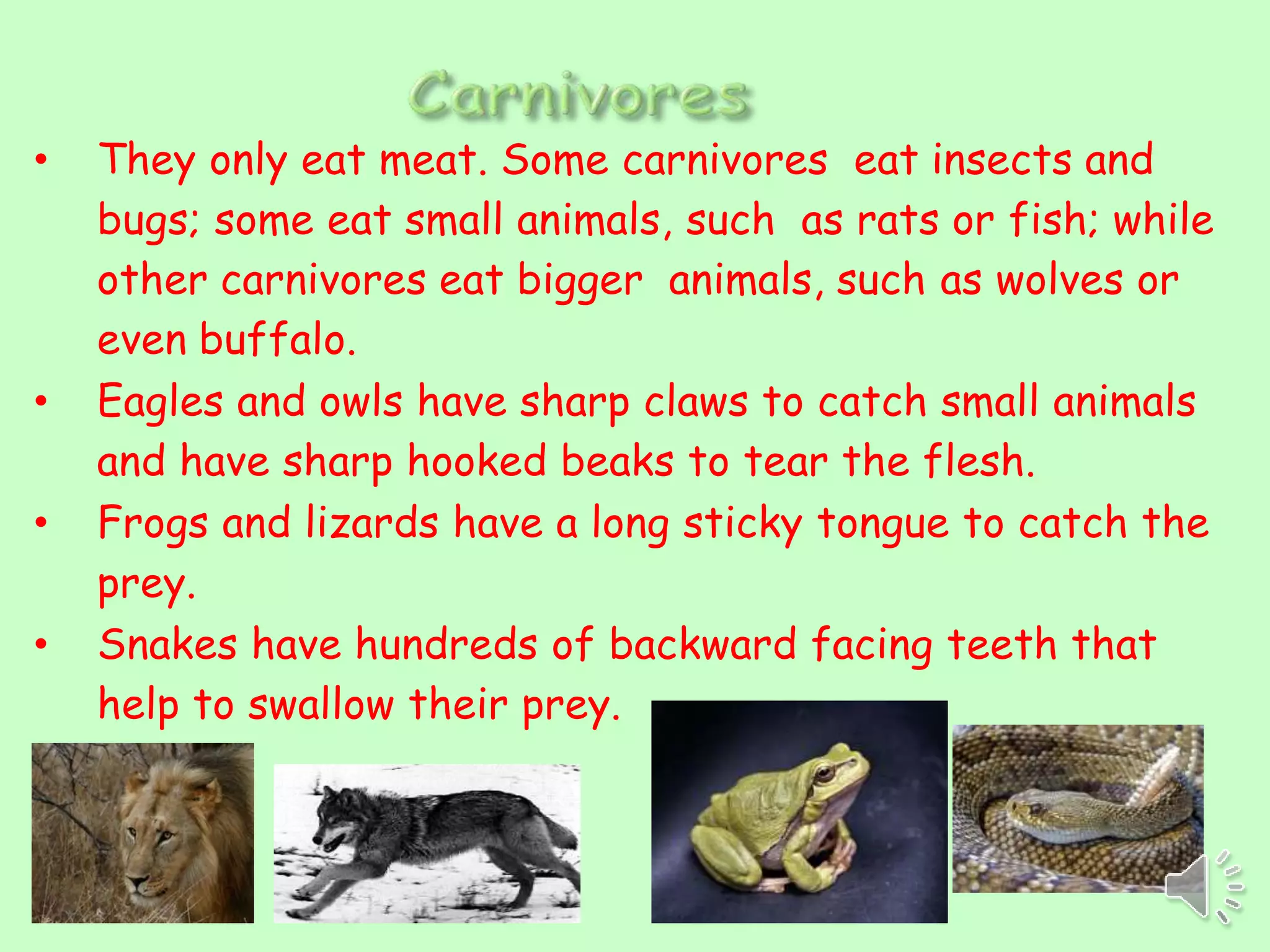 Cbse grade 3 Eating habits in animals | PPTX