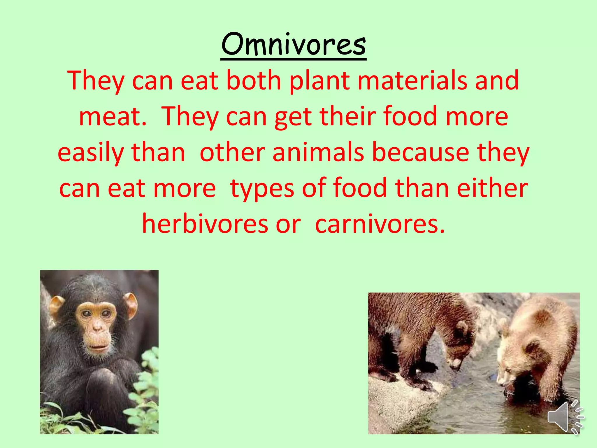 Cbse grade 3 Eating habits in animals | PPTX