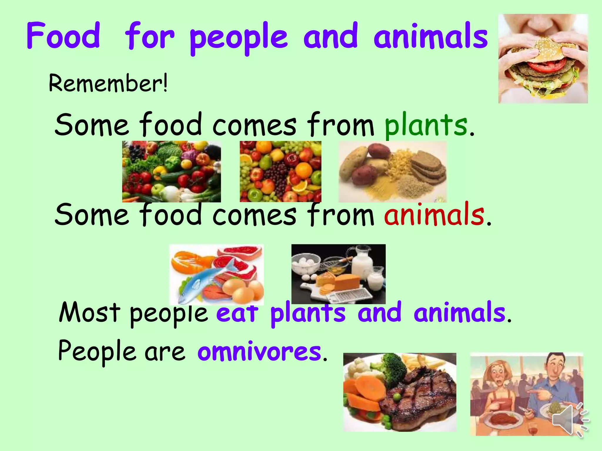 Cbse grade 3 Eating habits in animals | PPTX