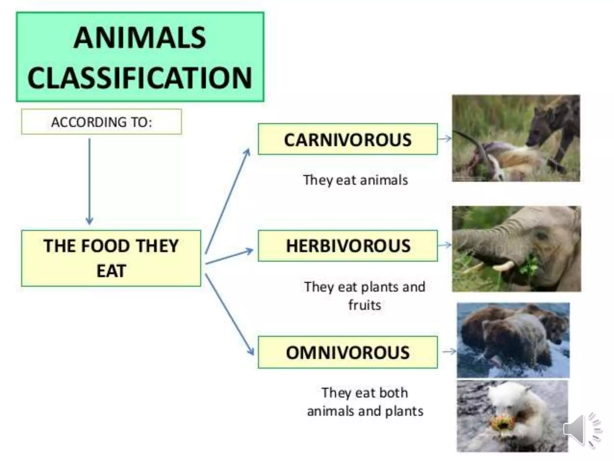 Cbse grade 3 Eating habits in animals | PPTX