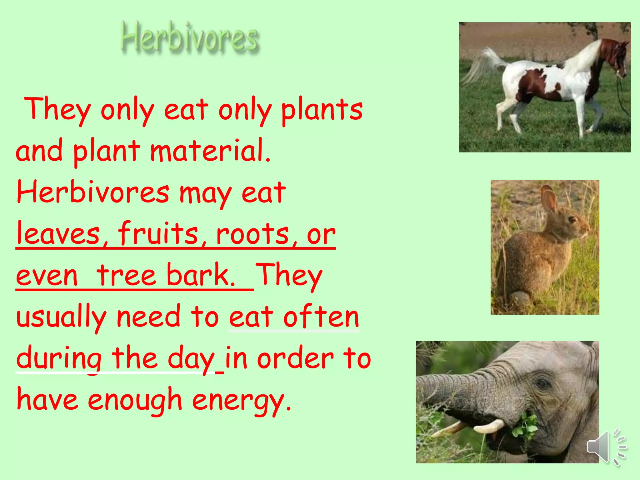 Cbse grade 3 Eating habits in animals | PPTX