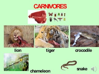 Cbse grade 3 Eating habits in animals | PPTX