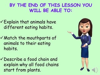 Cbse grade 3 Eating habits in animals | PPTX