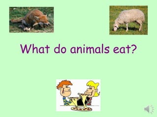 Cbse grade 3 Eating habits in animals | PPTX