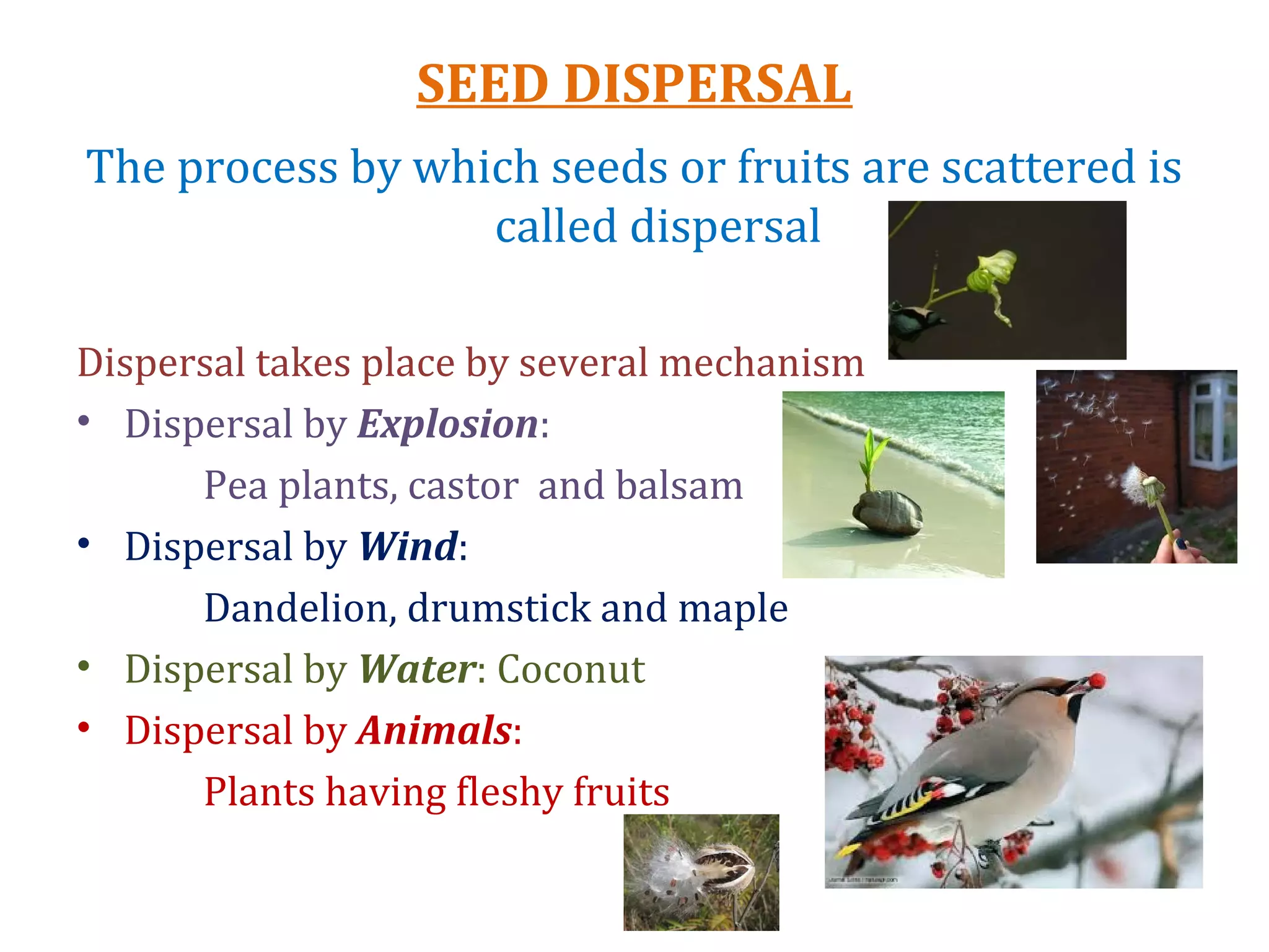 Cbse grade 7 chapter 11 reproduction in plants | PPT