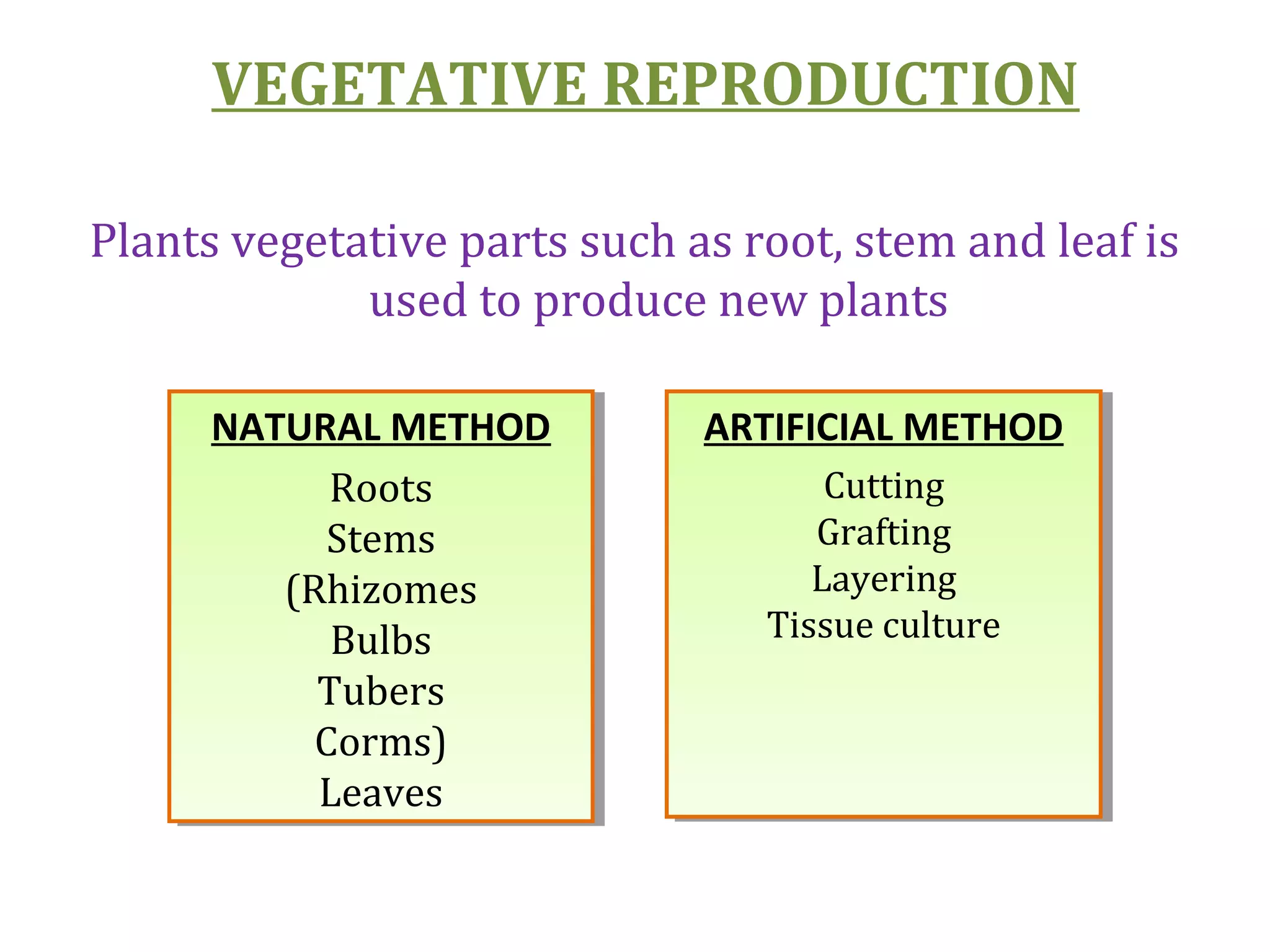 Cbse grade 7 chapter 11 reproduction in plants | PPT