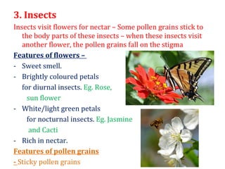 Cbse grade 7 chapter 11 reproduction in plants | PPT