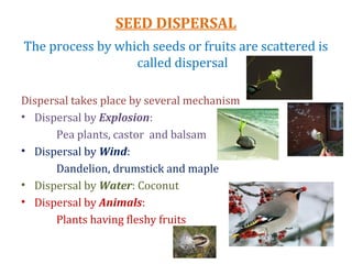 Cbse grade 7 chapter 11 reproduction in plants | PPT
