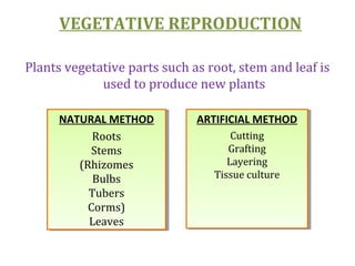 Cbse grade 7 chapter 11 reproduction in plants | PPT