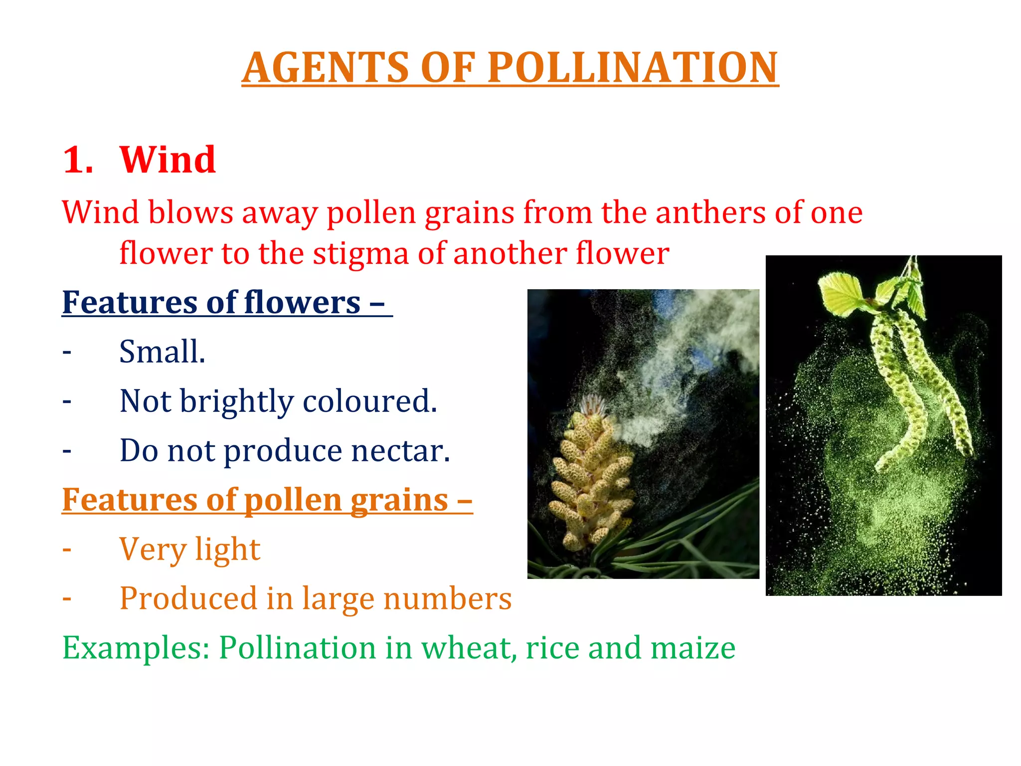 cbsegrade7-chapter11reproductioninplants-170308085837 (1).pdf