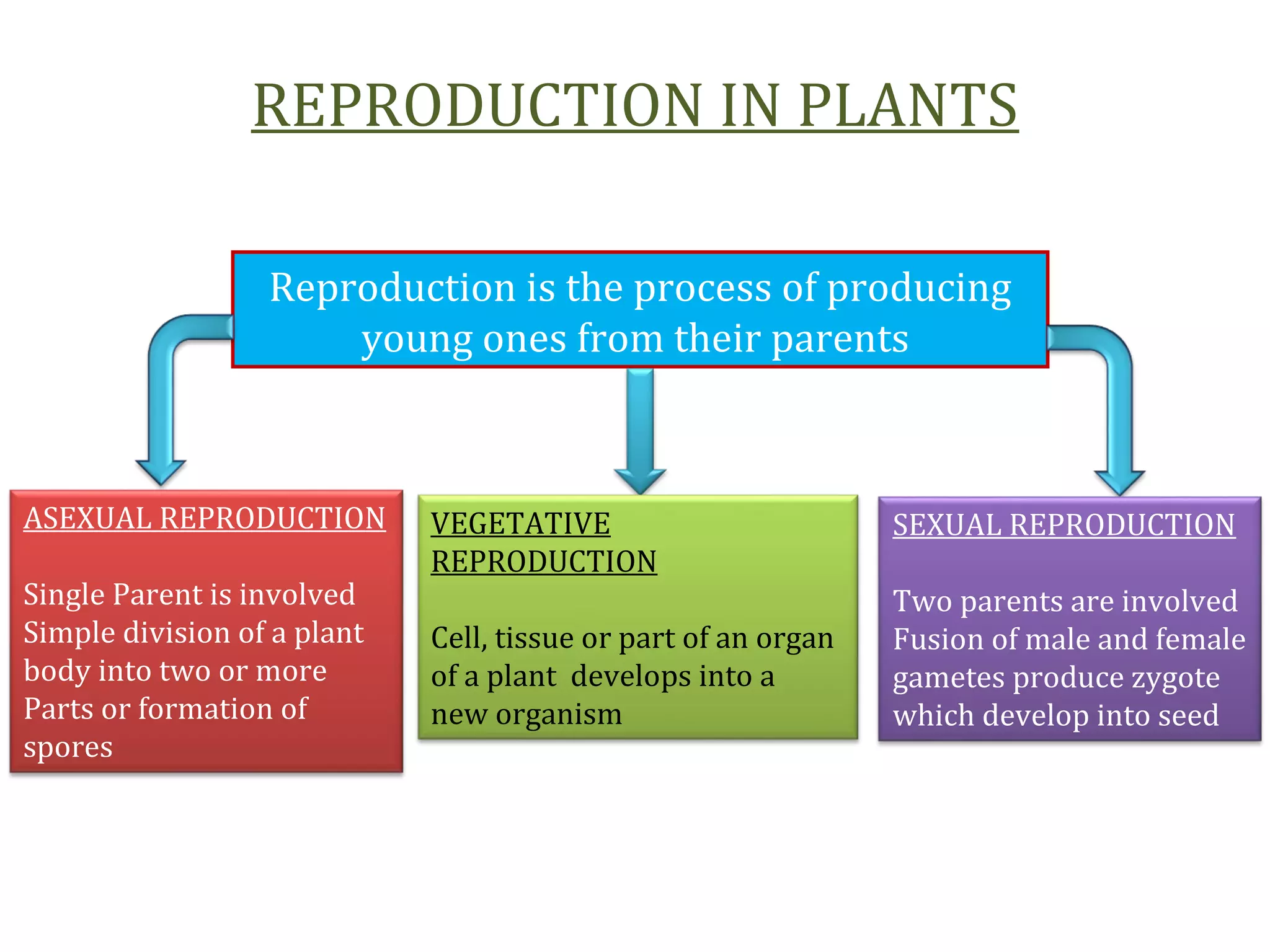 cbsegrade7-chapter11reproductioninplants-170308085837 (1).pdf