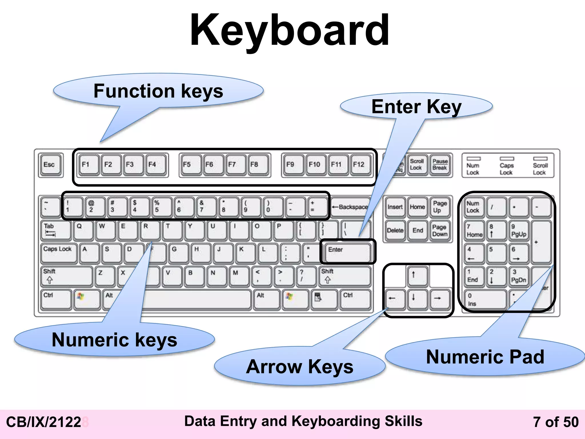 CBSE_Std_IX_DataEntry_and_Keyboarding_Skills.ppt