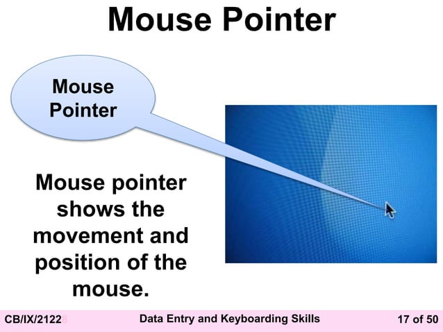 CBSE_Std_IX_DataEntry_and_Keyboarding_Skills.ppt | Computer Peripherals ...