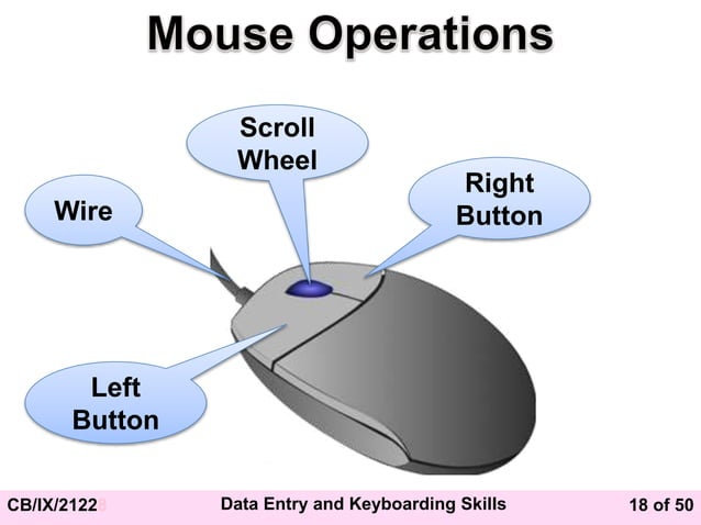 CBSE_Std_IX_DataEntry_and_Keyboarding_Skills.ppt | Computer Peripherals | Computing