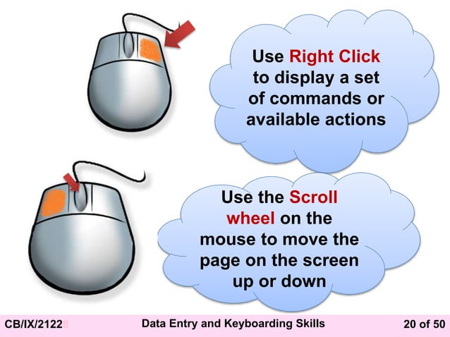 CBSE_Std_IX_DataEntry_and_Keyboarding_Skills.ppt | Computer Peripherals ...