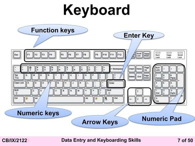 CBSE_Std_IX_DataEntry_and_Keyboarding_Skills.ppt | Computer Peripherals ...