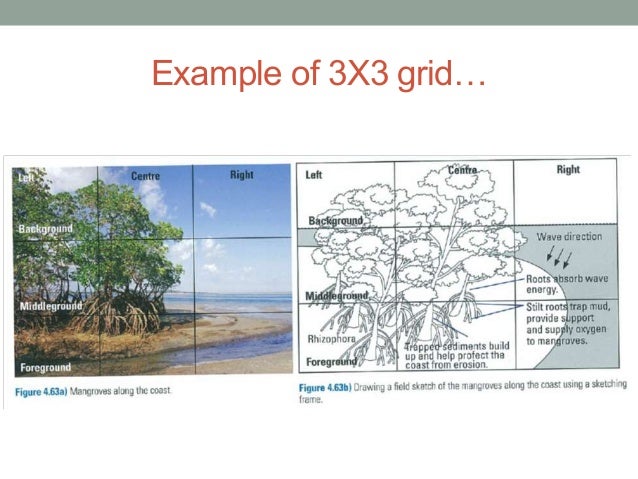 Cbss field sketching training