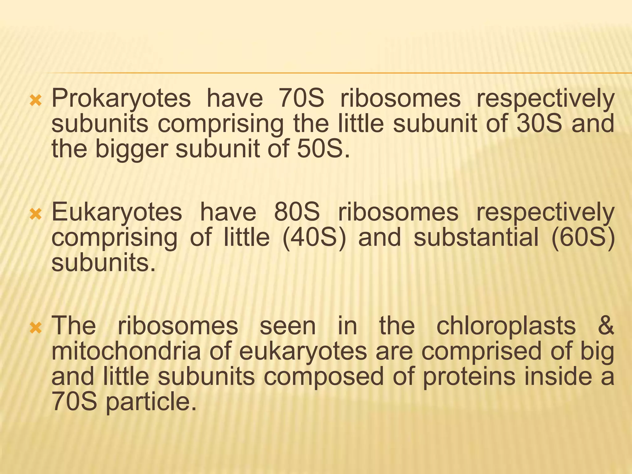 Ribosome - The Organelle acting as the Protein Synthesis site .. | PPTX