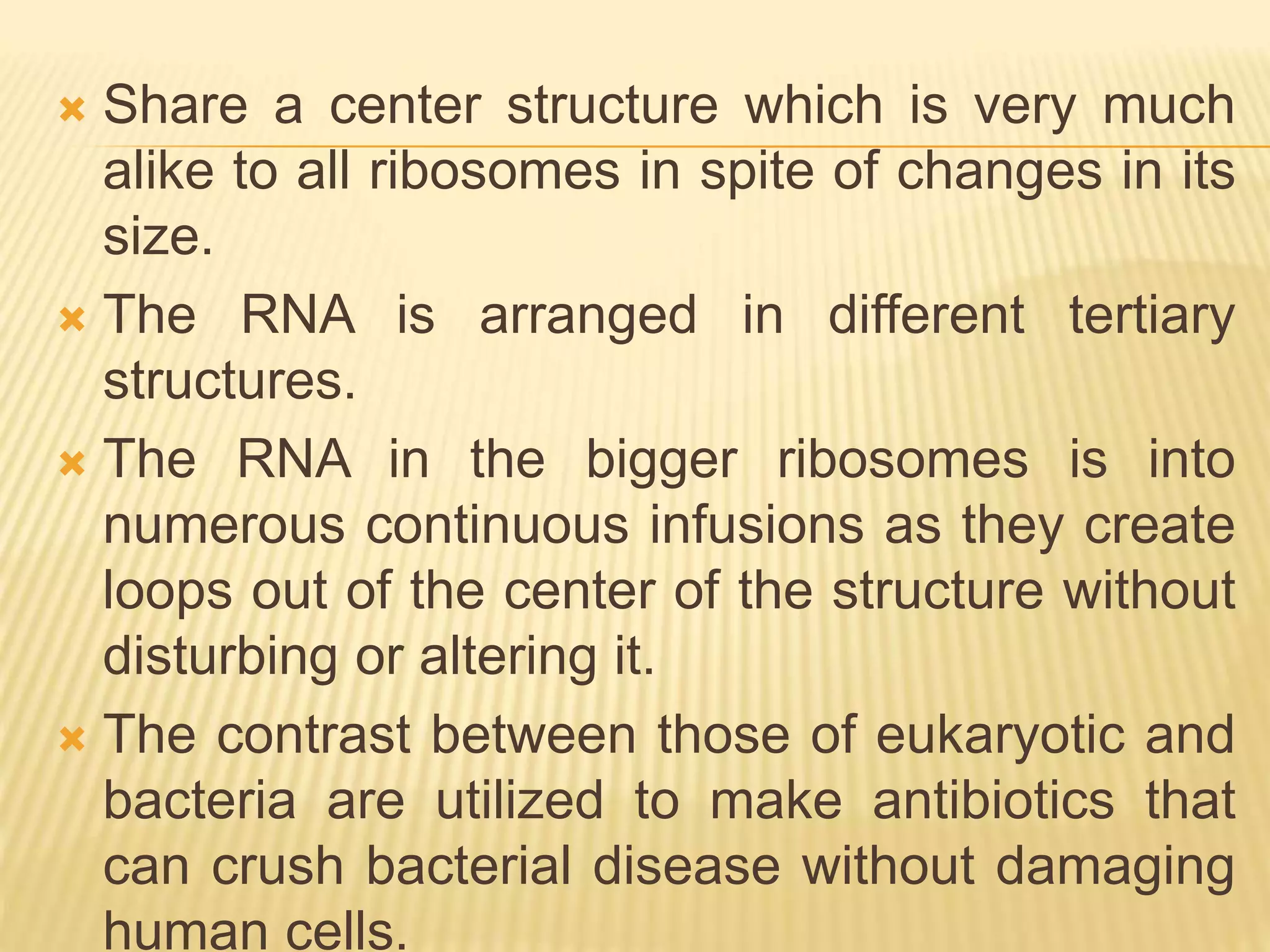 Ribosome - The Organelle acting as the Protein Synthesis site .. | PPTX