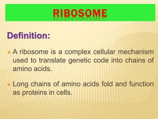 Ribosome Definition