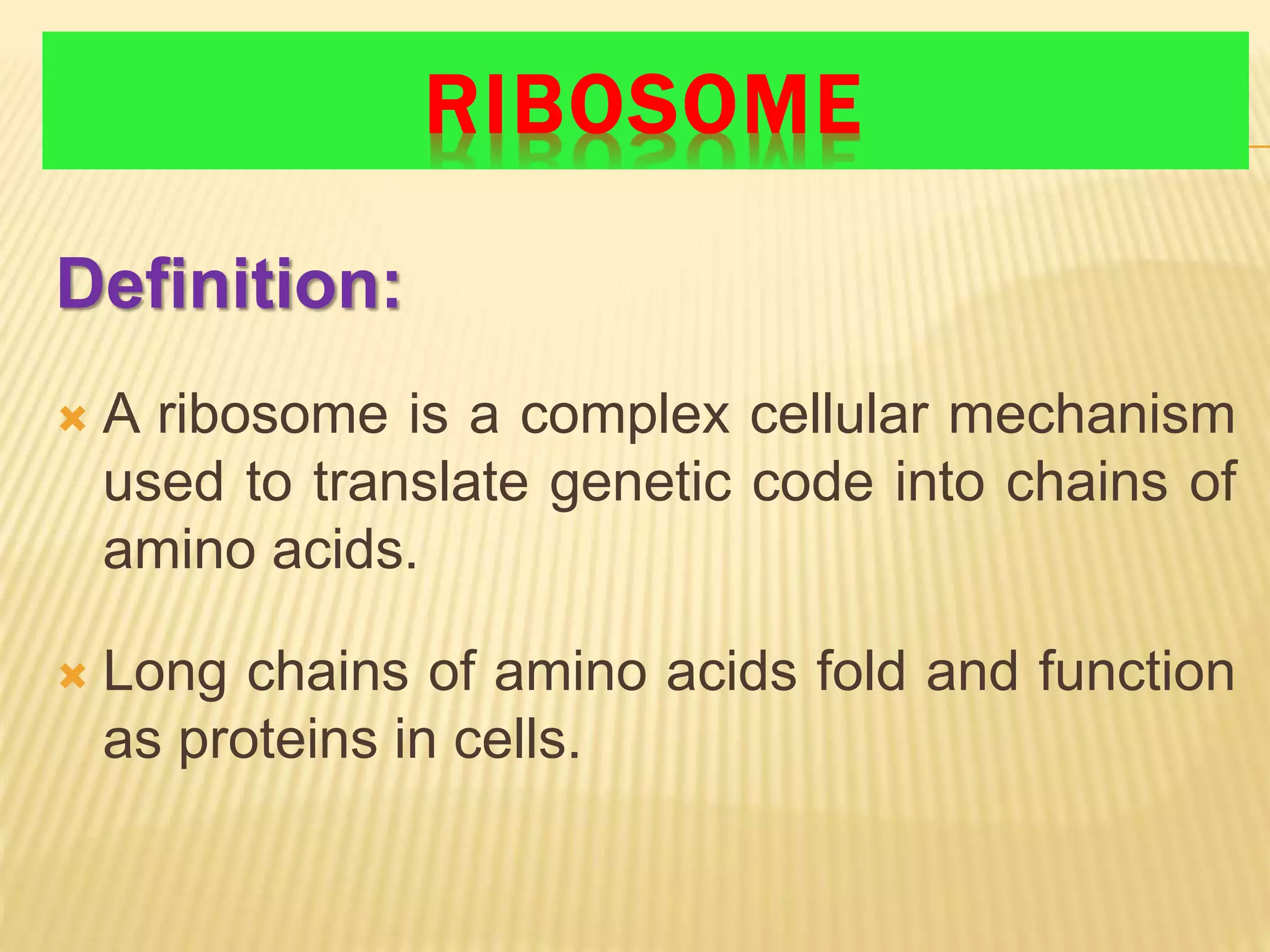 Ribosome.pptx
