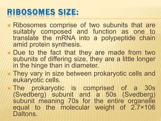 Ribosome.pptx