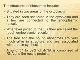 Ribosome.pptx