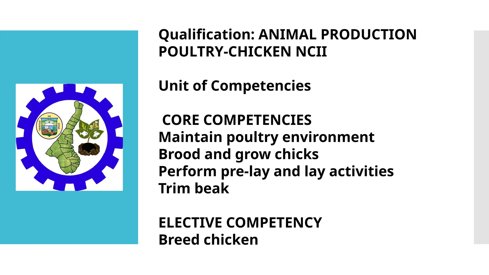 TESDA TM LEVEL 1 CBT ORIENTATIONPPT.pptx