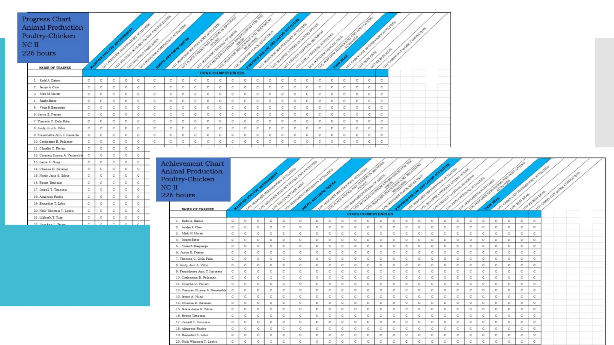 TESDA TM LEVEL 1 CBT ORIENTATIONPPT.pptx