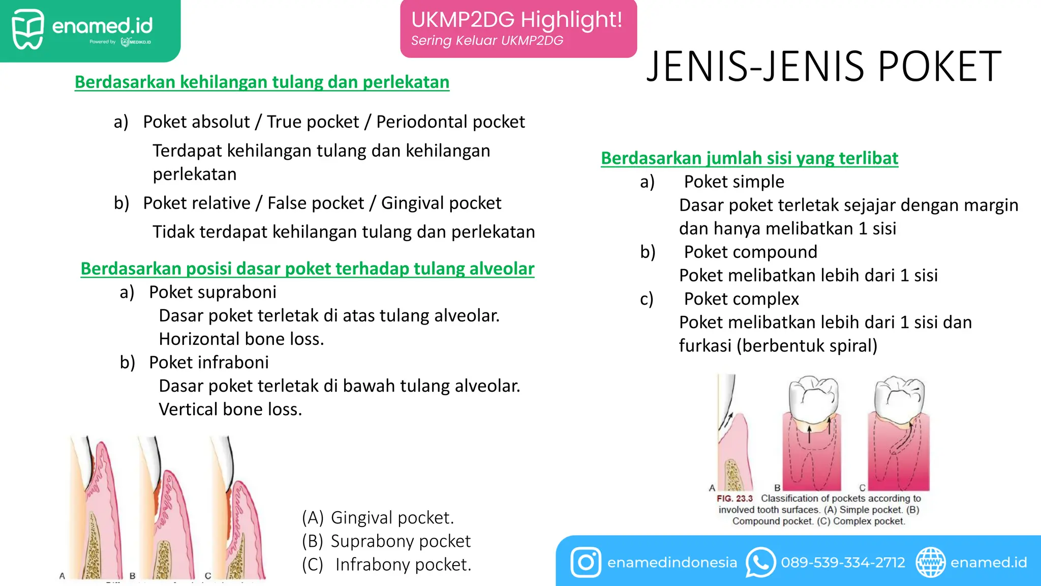 Presentasi materi periodonsia PPTT full. | PDF