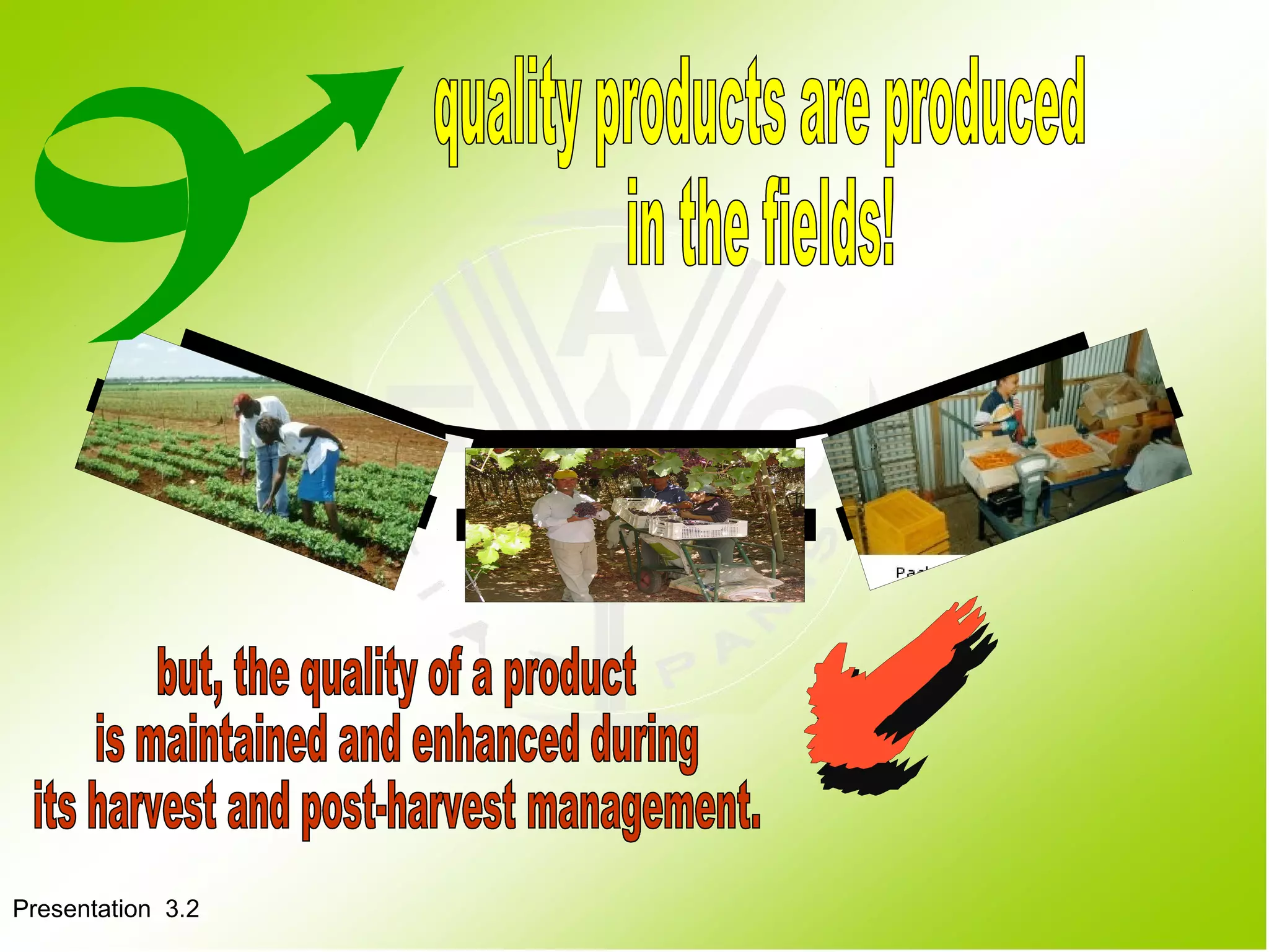 Fresh fruit and vegetable quality and safety | PPT