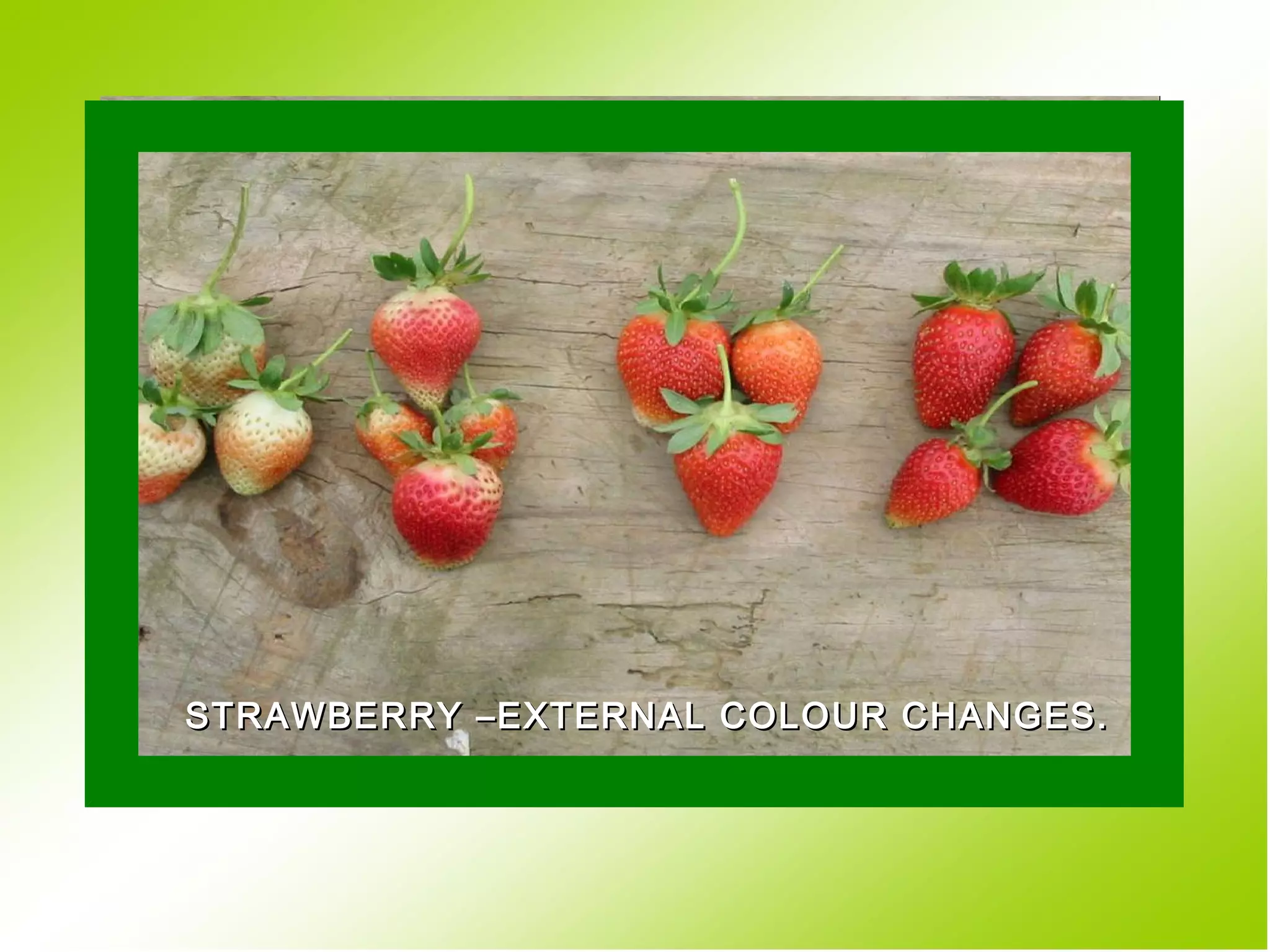 Fresh fruit and vegetable quality and safety | PPT