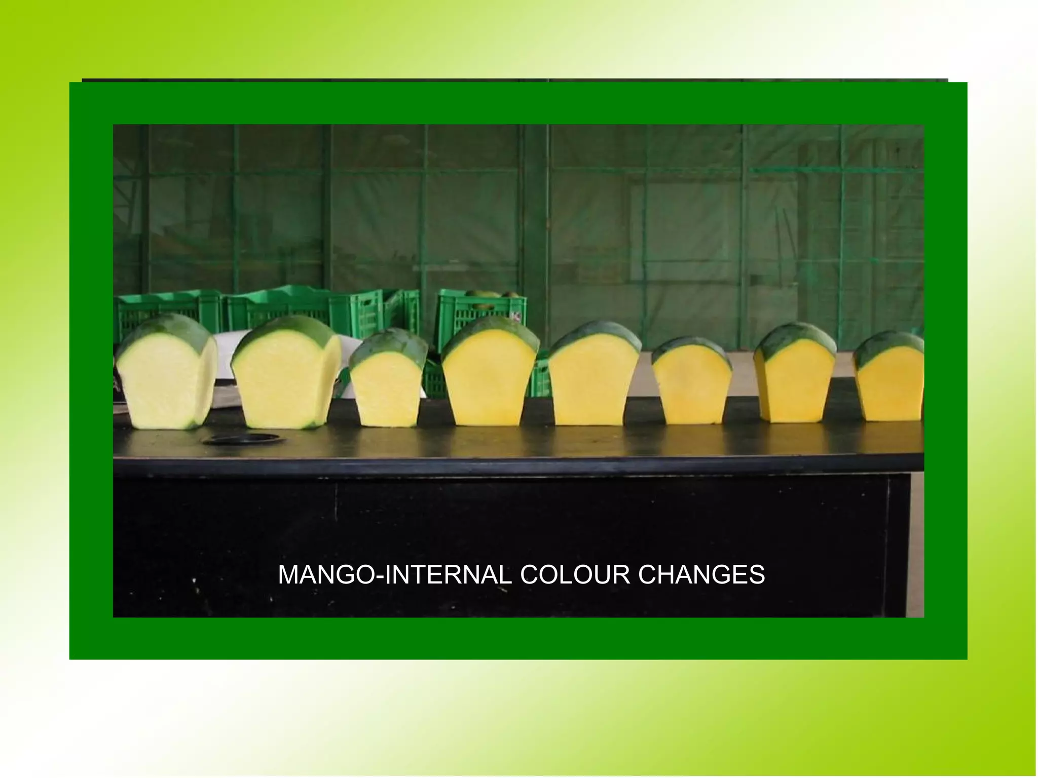 Fresh fruit and vegetable quality and safety | PPT