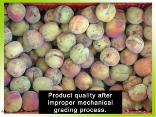 Fresh fruit and vegetable quality and safety | PPT