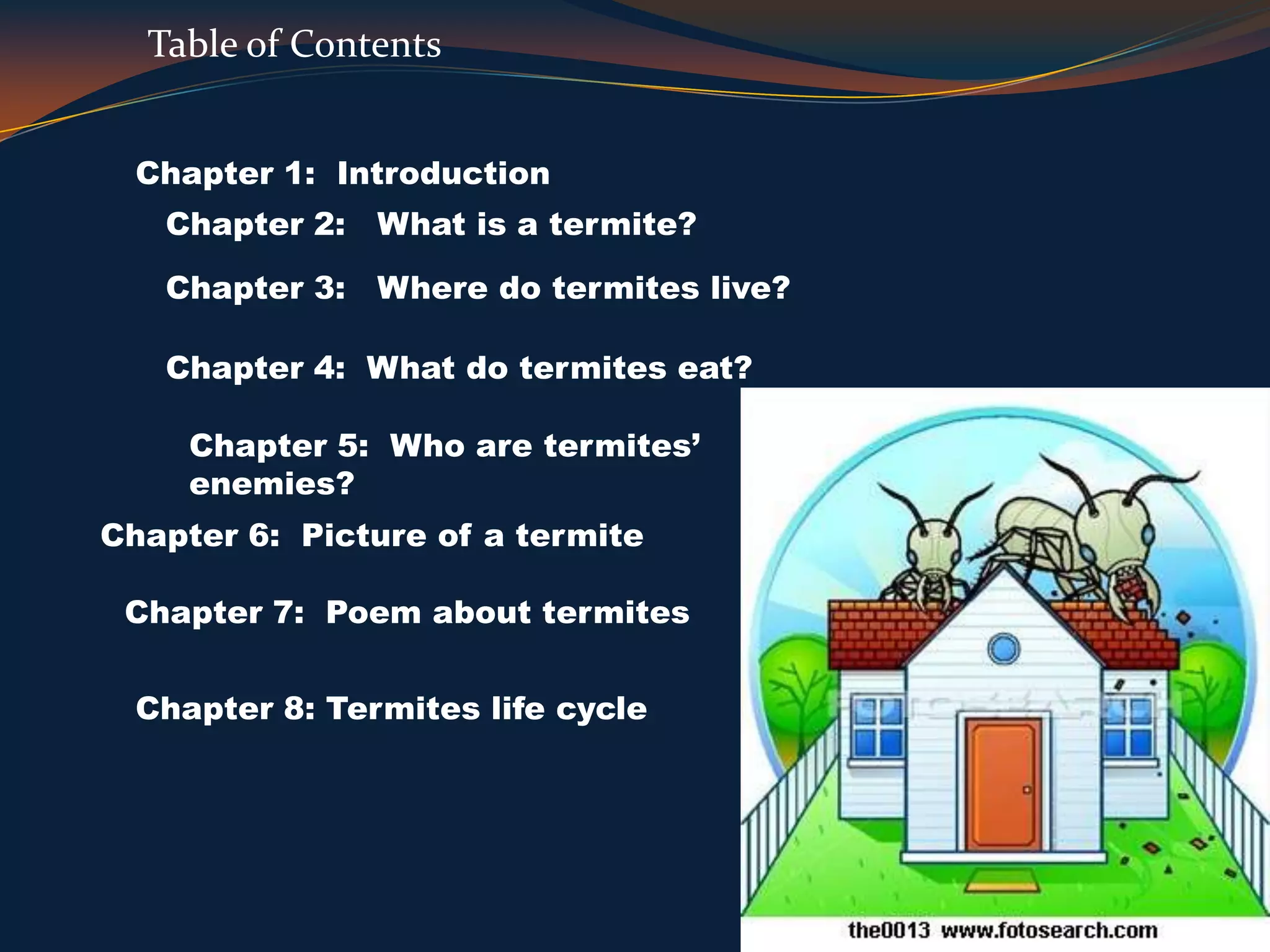 TERMITES | PPTX