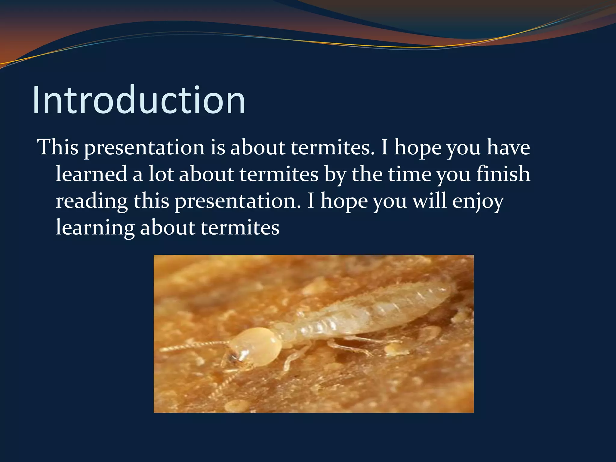 TERMITES | PPTX