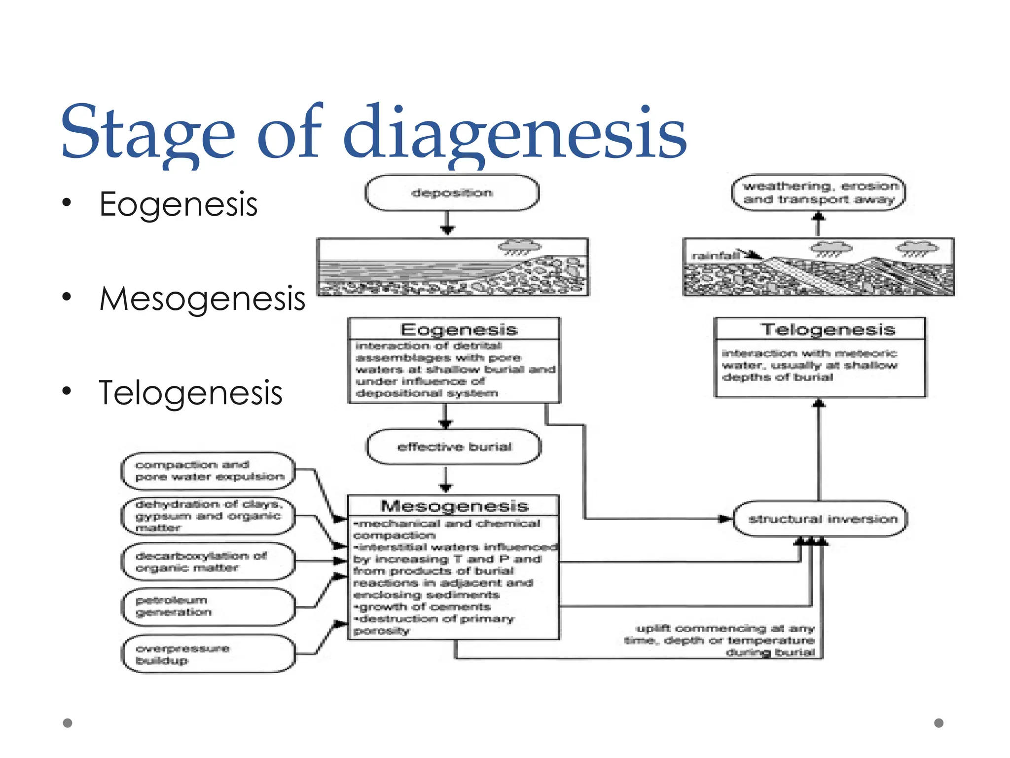 Diagenesis of carbonate | PPTX