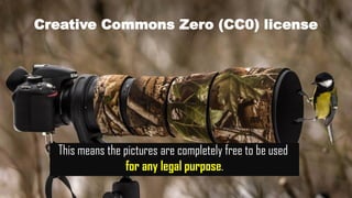 CC0 images - Thiyagu | PDF