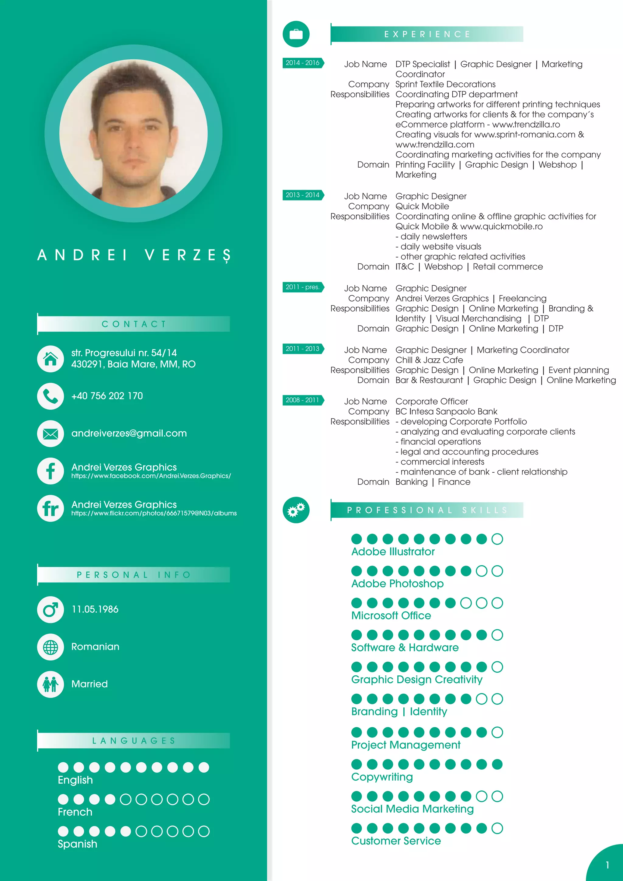 CV Andrei Verzes En | PDF
