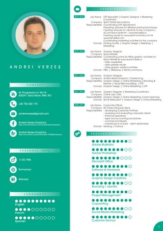 CV Andrei Verzes En | PDF