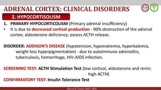 Comprehensive Overview of Adrenal Hormones and Clinical Disorders in ...