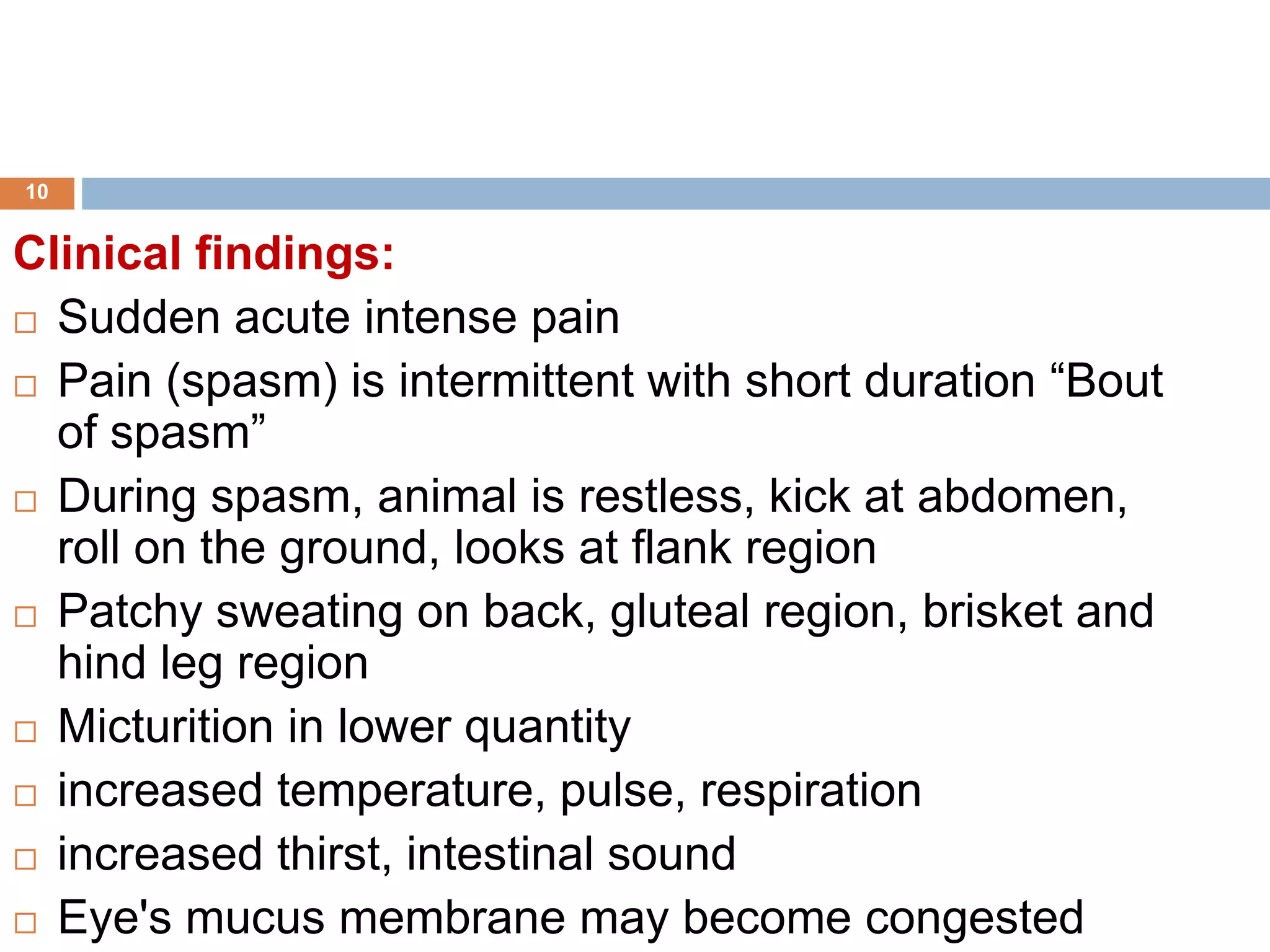 Colic in horses | PPTX