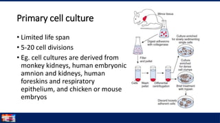 Cell culture | PPTX