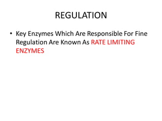 Enzyme Regulation | PDF