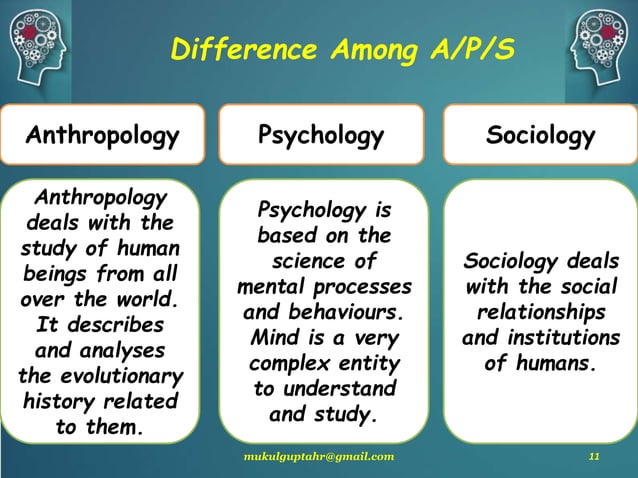 OB - Anthropology | PPTX | Undergraduate Education | College Education