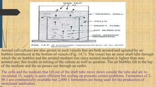 Bioreactors (Fermenters) | PPTX