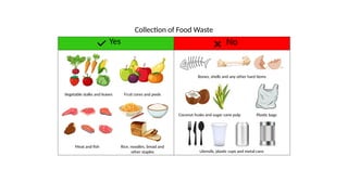 general waste vs food waste collection.pptx